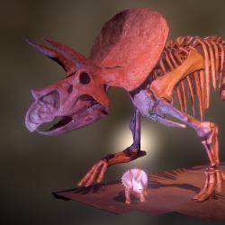 three horned rhinoceres 3D Models | Page 1 | STLFinder