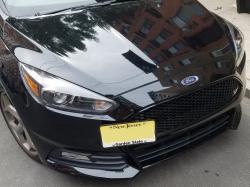 focus st front license plate mount 3D Models | Page 1 | STLFinder