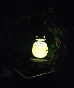 totoro night light 3D Models | Page 1 | STLFinder