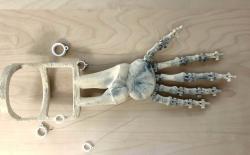 skeleton arm 3D Models | Page 1 | STLFinder