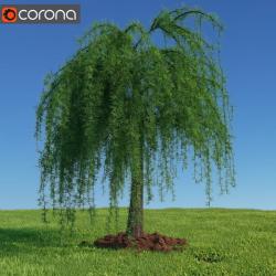 european larch tree 3D Models | Page 1 | STLFinder