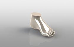 human foot stl 3D Models | Page 1 | STLFinder