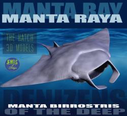 metal manta ray model | Page 1 | STLFinder