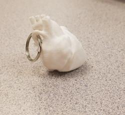anatomical heart keychain 3D Models | Page 1 | STLFinder