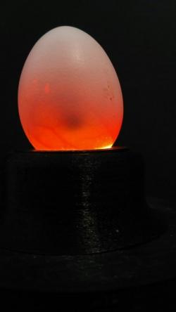 speed king egg candler parts 3D Models | Page 1 | STLFinder