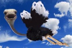 what modle p 3D Models | Page 1 | STLFinder