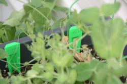 personalized garden stakes 3D Models | Page 1 | STLFinder