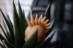 Spiky Hair 35 3D Models | Page 1 | STLFinder