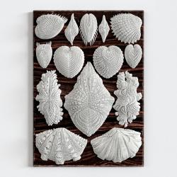 forms in nature 3D Models | Page 1 | STLFinder