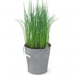 chive models | Page 1 | STLFinder