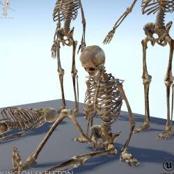 dungeon skeleton 3D Models | Page 1 | STLFinder