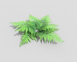 low poly fern 3d models | Page 1 | STLFinder