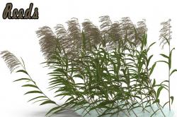 3d printed reeds 【 STLFinder