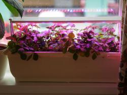 prints stripes location full length stripes 3D Models | Page 1 | STLFinder