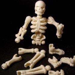 build your own skeleton 3D Models | Page 1 | STLFinder