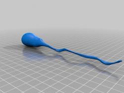 Human Sperm Cell 3D Models | Page 1 | STLFinder