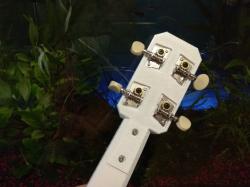 mini banjo tuning 3D Models | Page 1 | STLFinder