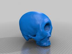 cyclops skull 3d models | Page 1 | STLFinder