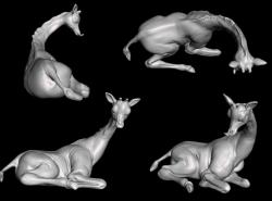 cursed giraffe 3d models 【 STLFinder