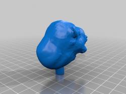 cu buff logo 3D Models | Page 1 | STLFinder