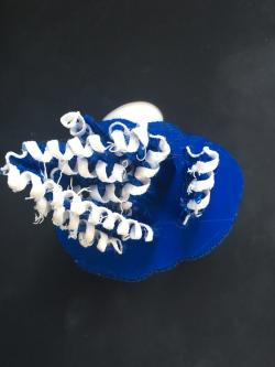 protein structure 3d database | Page 1 | STLFinder