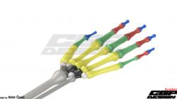 skeleton hand design 3D Models | Page 1 | STLFinder