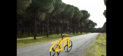 new model bicycle | Page 1 | STLFinder
