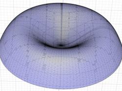 sheep in isleand 1 y 2x 4 y 2x 2 sx 1ed 2 3x 4 2x 3 x 4 3D Models ...