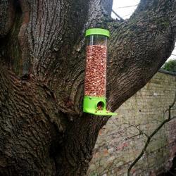 3d squirrel food 【 STLFinder