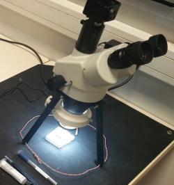 amscope support 3D Models | Page 1 | STLFinder