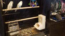 flight bird cage with stand for parakeet 3D Models | Page 1 | STLFinder