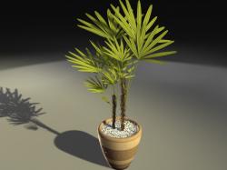 raphis 3D Models | Page 1 | STLFinder