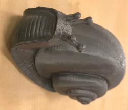 turbo caracol 3d models 【 STLFinder