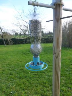 maya bird food 3D Models | Page 1 | STLFinder