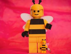species megachile sculpturalis giant resin bee bugguide net 3D Models ...