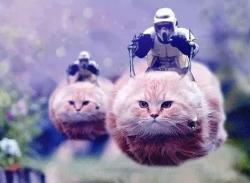 pumpkin spice cat fortnite figure amazon 3D Models | Page 1 | STLFinder