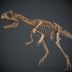 allosaurus skeleton model | Page 1 | STLFinder