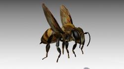 honey bee animated 3D Models | Page 1 | STLFinder