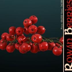 winter berries 3d model | Page 1 | STLFinder