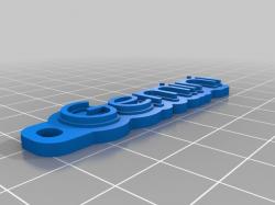 gemini keychain 3D Models | Page 1 | STLFinder