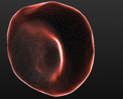 how to make a red blood cell model | Page 1 | STLFinder