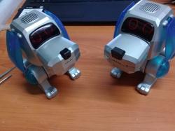 poo chi 3D Models | Page 1 | STLFinder