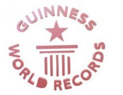guinness world records eco art largest sculpture bottles argentina 3D ...