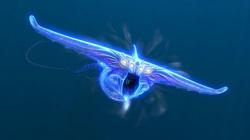ghost leviathan subnautica 3D Models | Page 1 | STLFinder