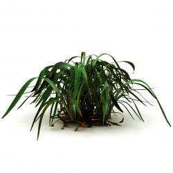 marsh models | Page 1 | STLFinder