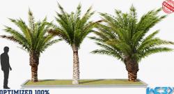 palm trees high resolution 3D Models | Page 1 | STLFinder