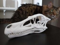full size skull 3D Models | Page 1 | STLFinder