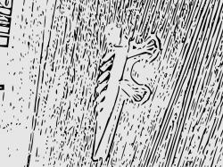 different adaptations of animals 3d models 【 STLFinder