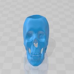 skulls slides 3D Models | Page 1 | STLFinder
