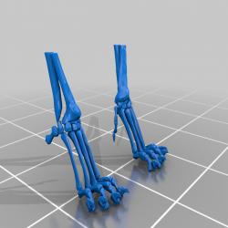 cat skeleton paw 3d models 【 STLFinder